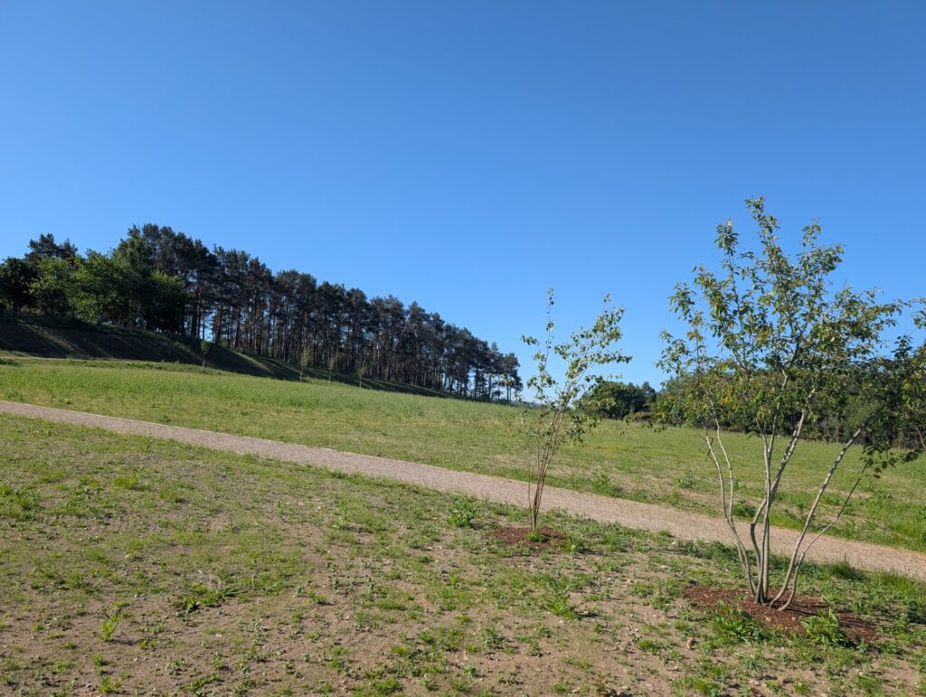Build of cemetery complete in Elgin | Project Scotland